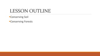 Unit 5, Lesson 5.8- Conserving Soil and Forests | PPT