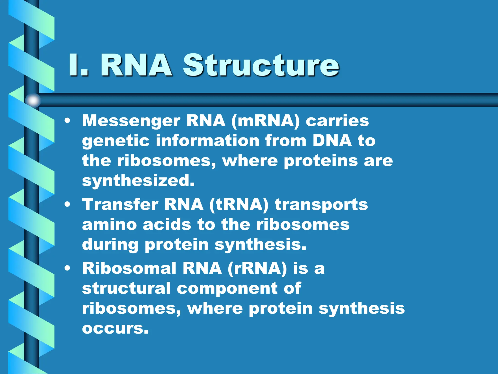 DNA vs RNA and DNA Replication powerpoint | PPT