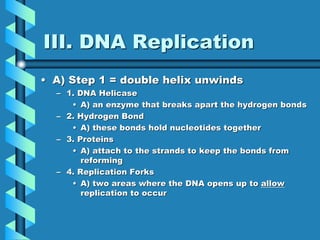 DNA vs RNA and DNA Replication powerpoint | PPT