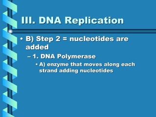 DNA vs RNA and DNA Replication powerpoint | PPT