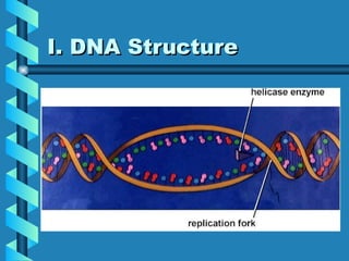 genetic lesson dna and rna replication and its details | PPT