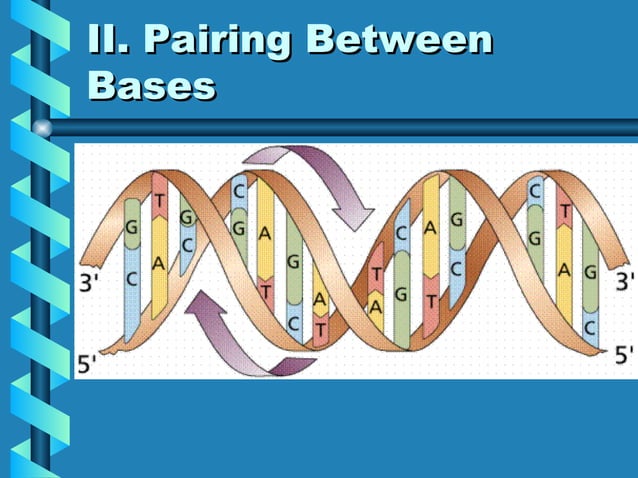 genetic lesson dna and rna replication and its details | PPT