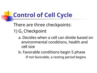 The cell cycle , the different phases and the cell division | PPT