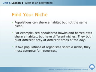 Ecosystem | PPT | Geography | Science
