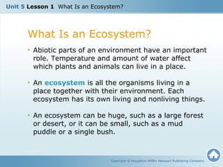 Ecosystem | PPT | Geography | Science