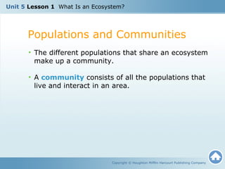 Ecosystem | PPT | Geography | Science