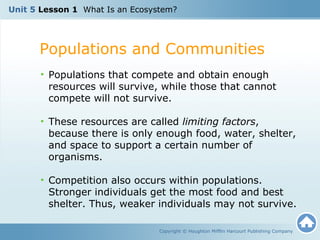 Ecosystem | PPT | Geography | Science