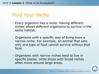 Ecosystem | PPT | Geography | Science