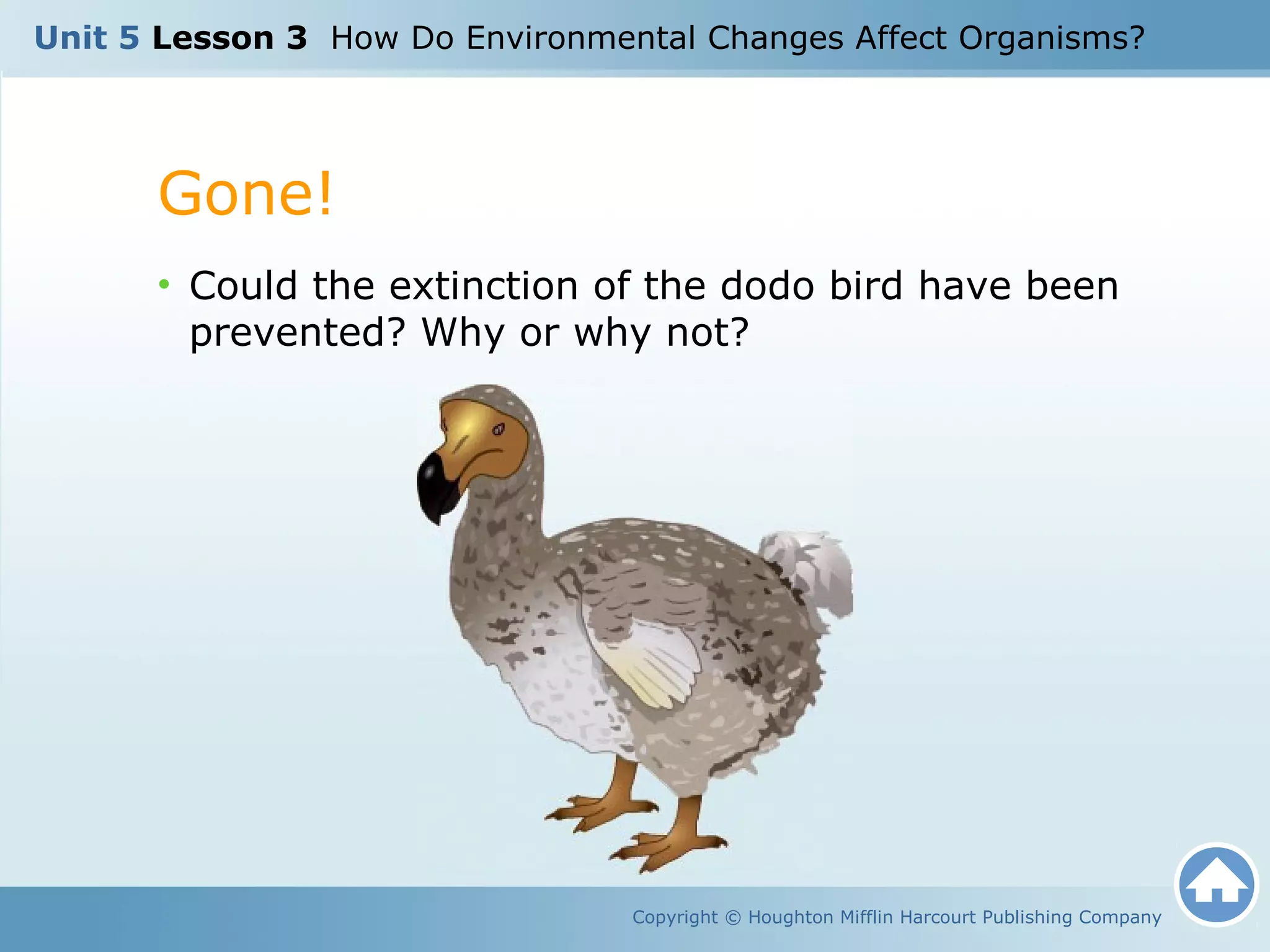U 5 lesson 3 integrado e.s. environmental changes | PPT