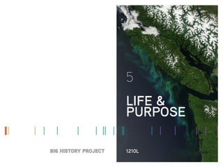 Unit 5: Life and Purpose | PPT