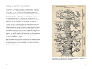 Unit 5: Life and Purpose | PPT