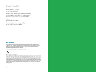 Unit 5: The Biology of Awareness | PPT