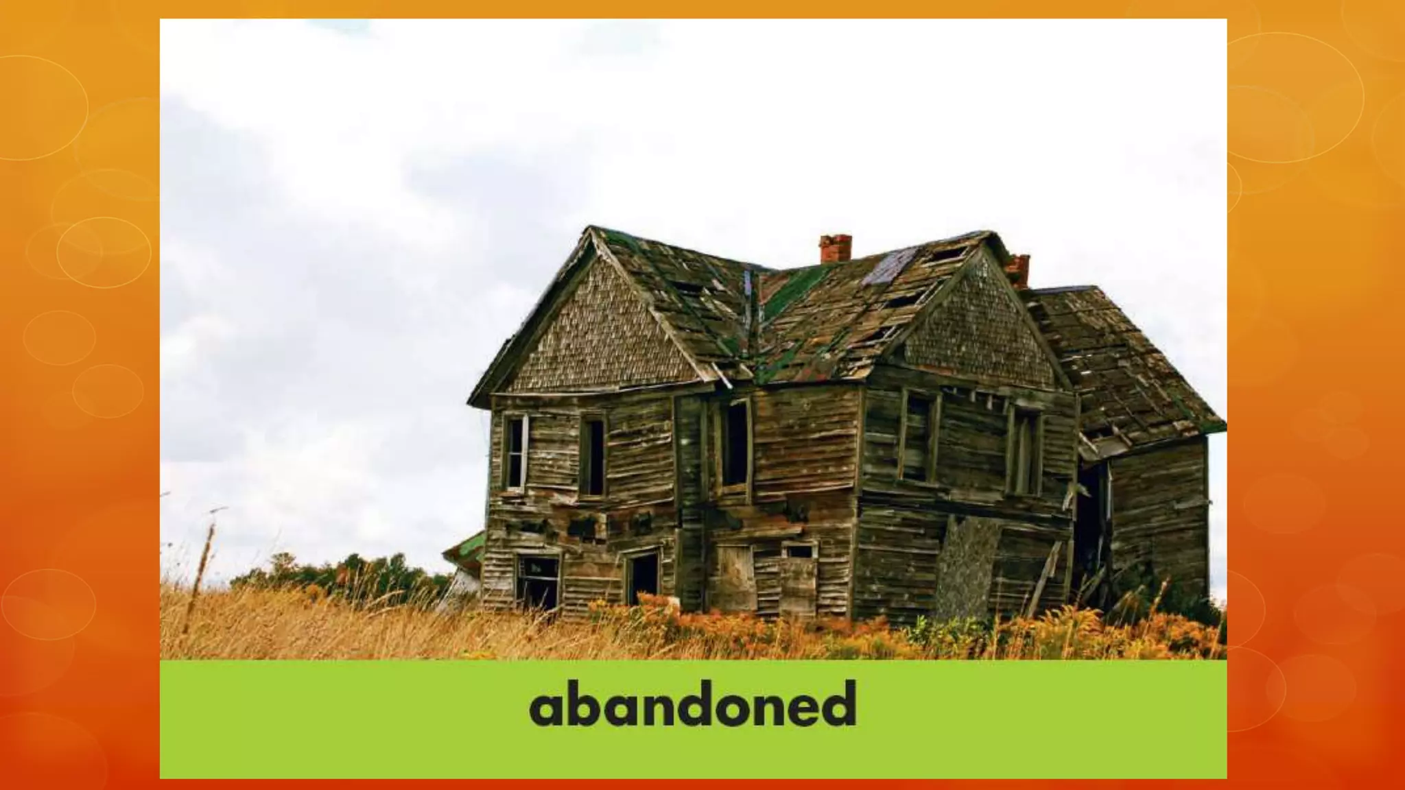 U5 w1 the skunk ladder | PPT