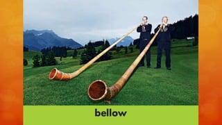 U5 w1 the skunk ladder | PPT