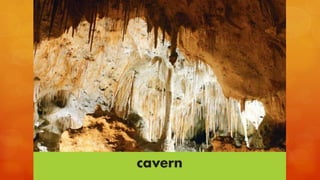 U5 w1 the skunk ladder | PPT