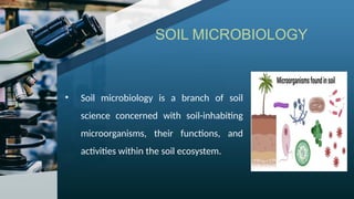 History and scope of microbiology general microbiology | PPTX