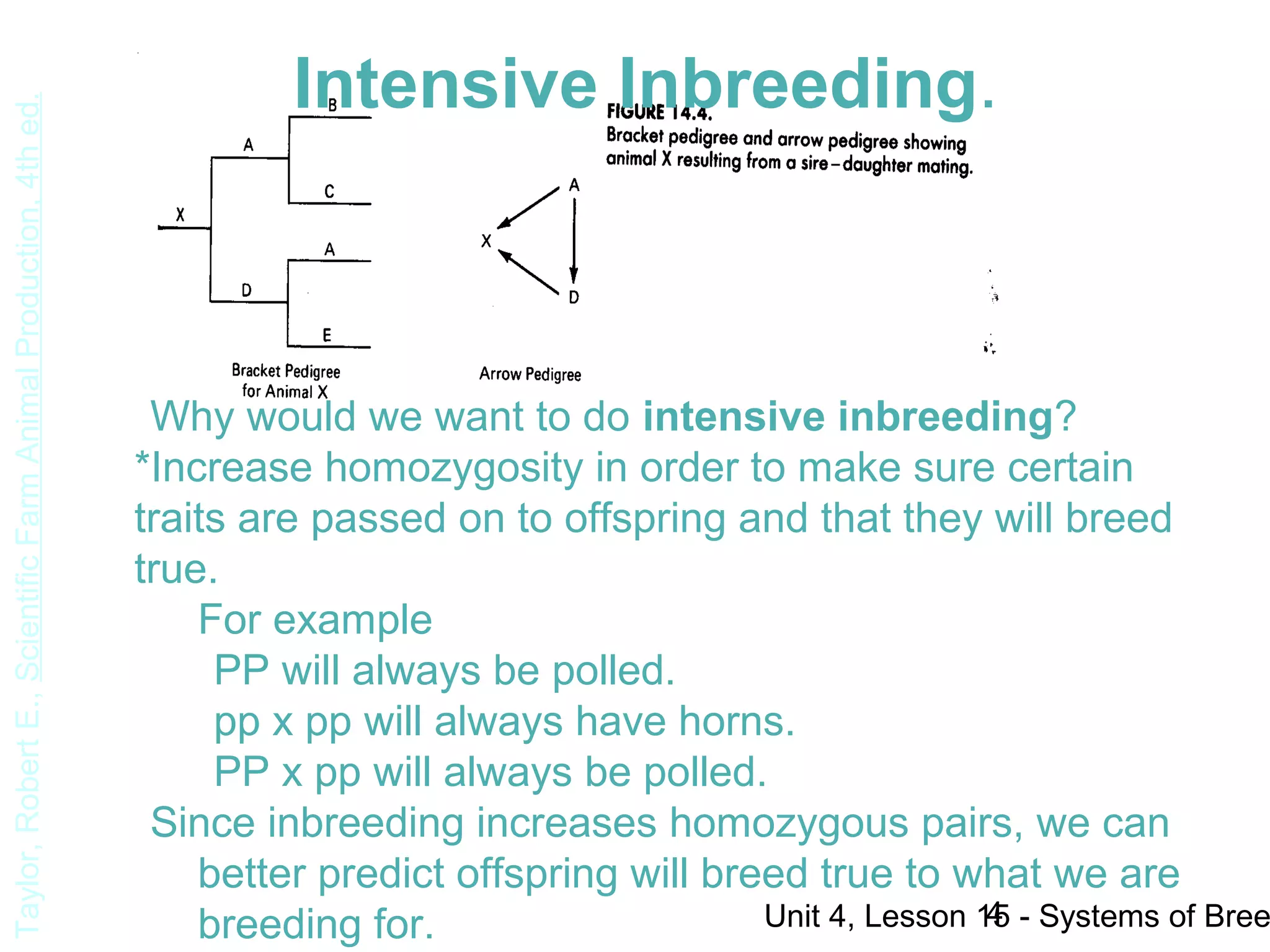 MATING SYSTEMS | PPT