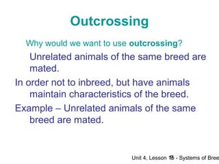 MATING SYSTEMS | PPT