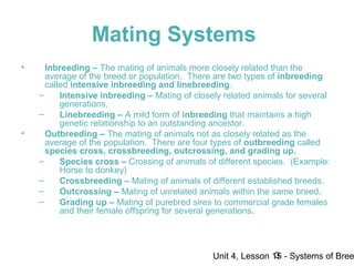 MATING SYSTEMS | PPT | Genetics | Science