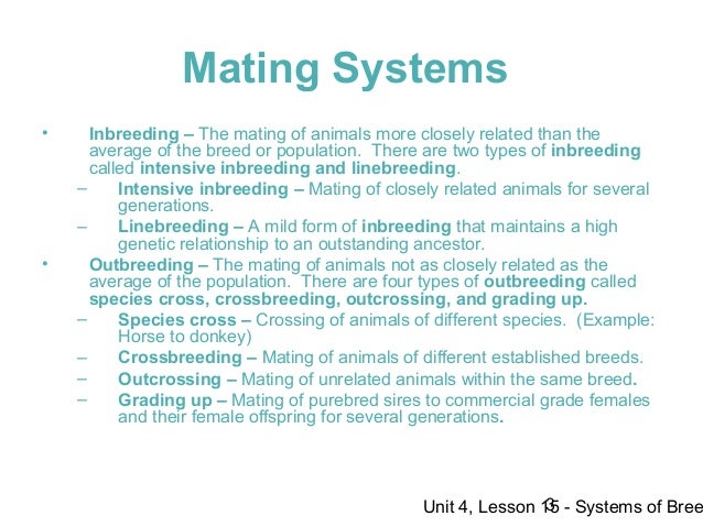 Types Of Mating Systems - Design Talk