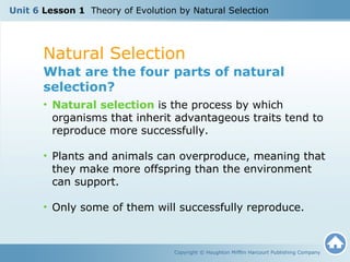 U6 L1 Theory of Evolution by Natural Selection | PPT