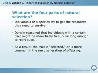 U6 L1 Theory of Evolution by Natural Selection | PPT
