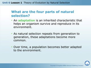 U6 L1 Theory of Evolution by Natural Selection | PPT