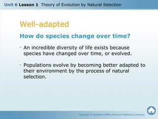 U6 L1 Theory of Evolution by Natural Selection | PPT