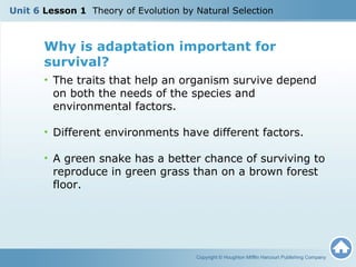 U6 L1 Theory of Evolution by Natural Selection | PPT