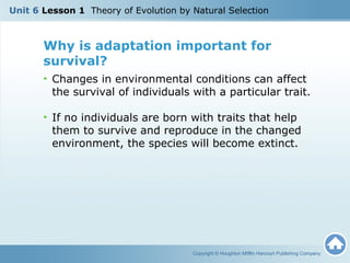 U6 L1 Theory of Evolution by Natural Selection | PPT