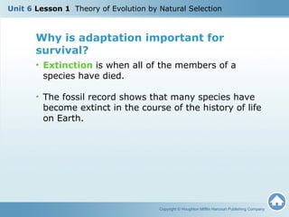 U6 L1 Theory of Evolution by Natural Selection | PPT