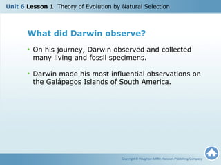 U6 L1 Theory of Evolution by Natural Selection | PPT