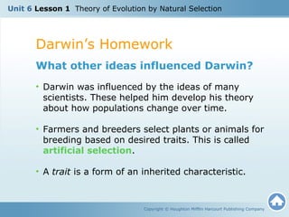 U6 L1 Theory of Evolution by Natural Selection | PPT