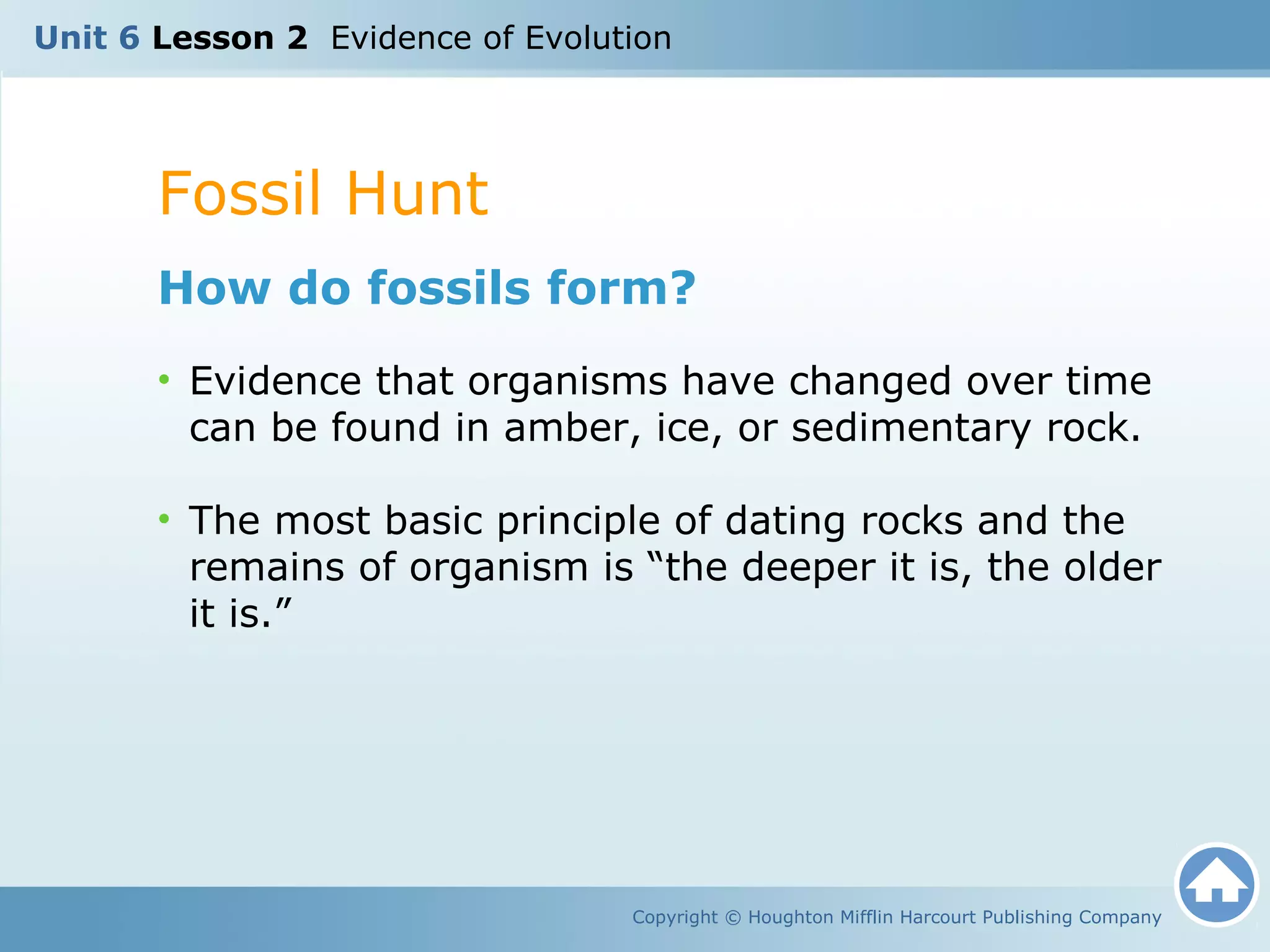 U6 L2 Evidence of Evolution | PPT