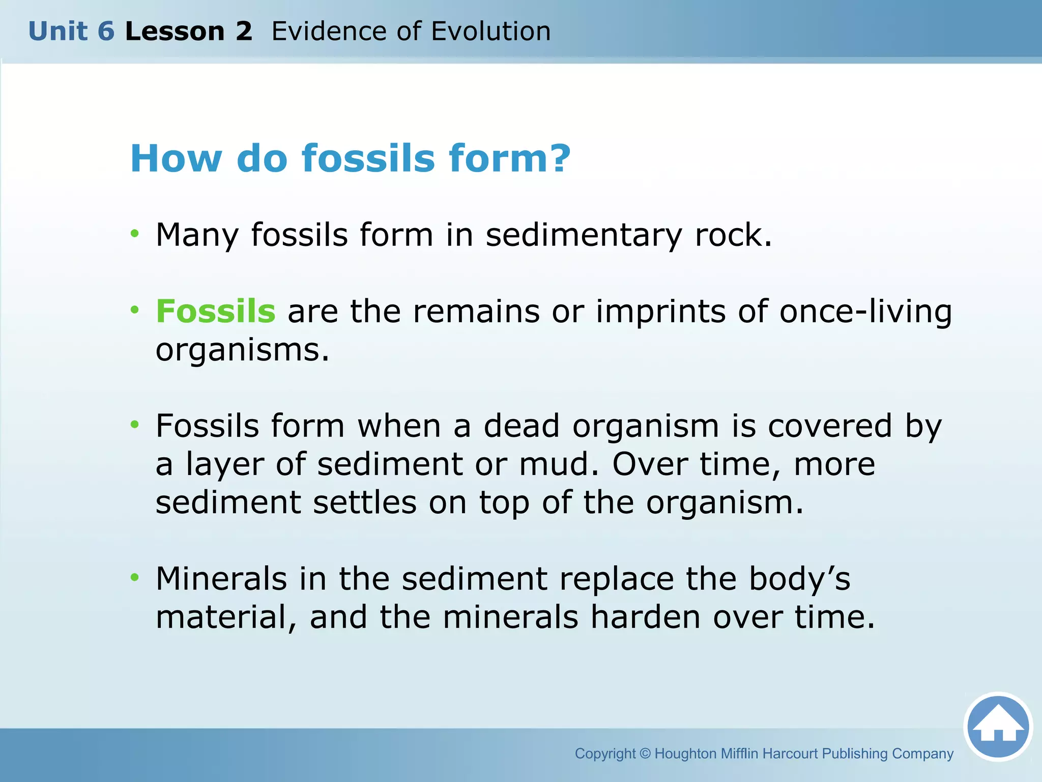 U6 L2 Evidence of Evolution | PPT