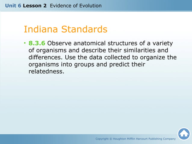 U6 L2 Evidence of Evolution | PPT | Geology | Science