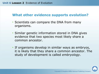 U6 L2 Evidence of Evolution | PPT | Geology | Science
