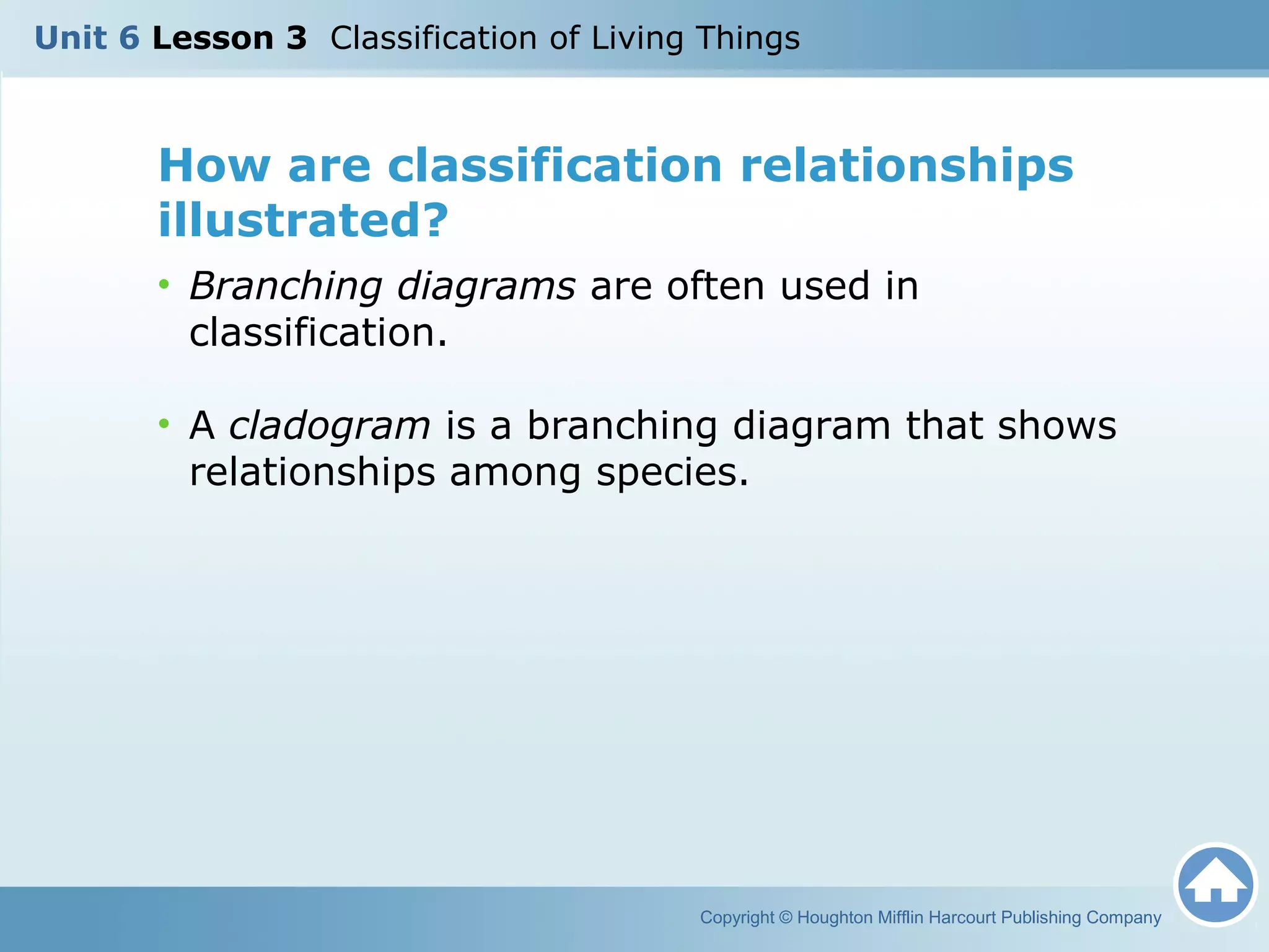 U6 L3 Classification of Living Things | PPT