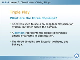 U6 L3 Classification of Living Things | PPT