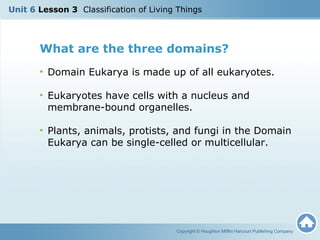 U6 L3 Classification of Living Things | PPT