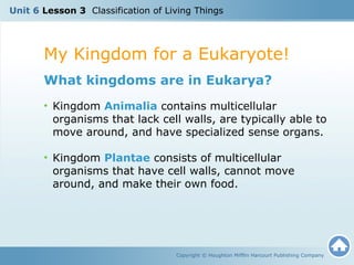 U6 L3 Classification of Living Things | PPT