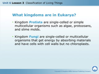 U6 L3 Classification of Living Things | PPT