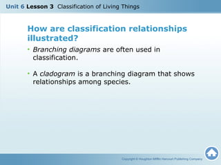 U6 L3 Classification of Living Things | PPT
