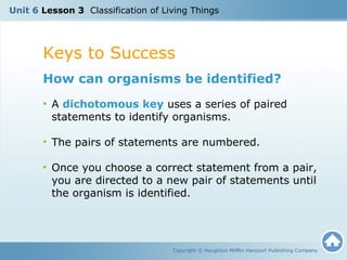 U6 L3 Classification of Living Things | PPT