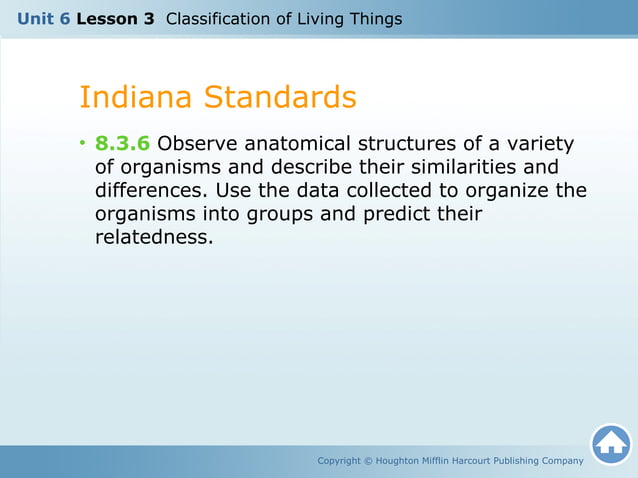 U6 L3 Classification of Living Things | PPT | Biological Sciences | Science