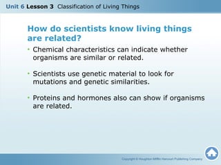 U6 L3 Classification of Living Things | PPT