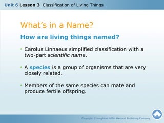 U6 L3 Classification of Living Things | PPT