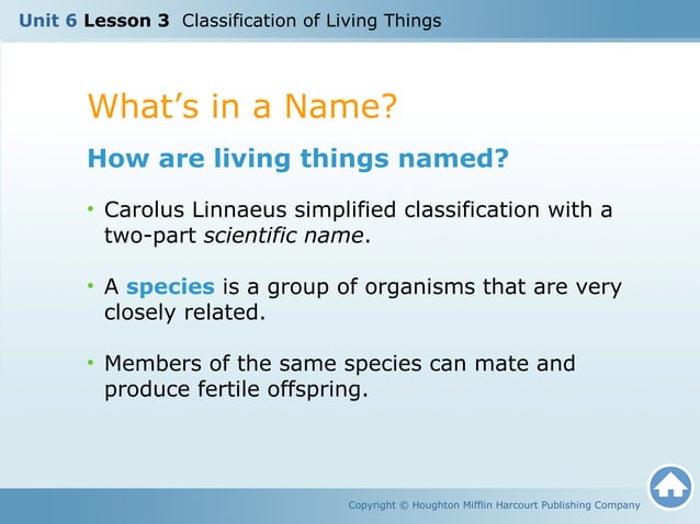 U6 L3 Classification of Living Things | PPT | Biological Sciences | Science