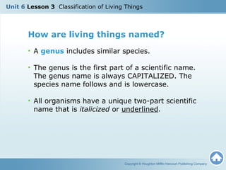 U6 L3 Classification of Living Things | PPT