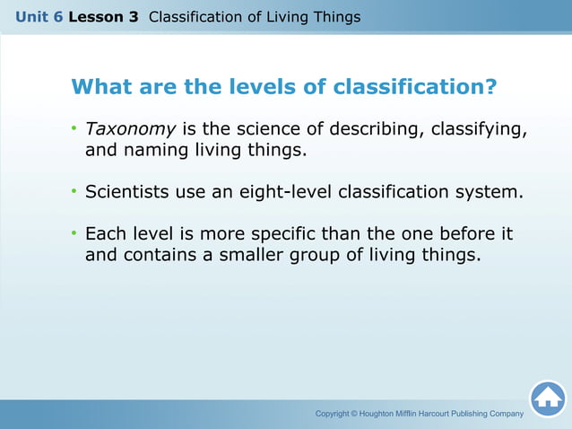 U6 L3 Classification of Living Things | PPT | Biological Sciences | Science